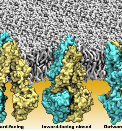 ORNL Supercomputer Named World’s Most Powerful – Oak Ridge Leadership ...
