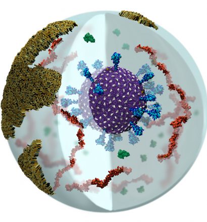 Superconductor Simulation Tops 15 Petaflops on Titan – Oak Ridge ...